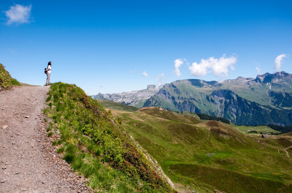 Mt. Eiger - Urban Works